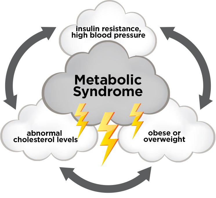 Metabolic Syndrome: The Perfect Storm | The Texas Heart Institute®