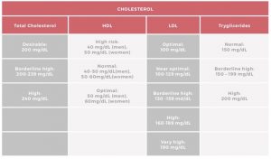 Total Cholesterol Facts | The Texas Heart Institute®