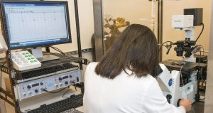 Electrophysiology Basic Research | The Texas Heart Institute®