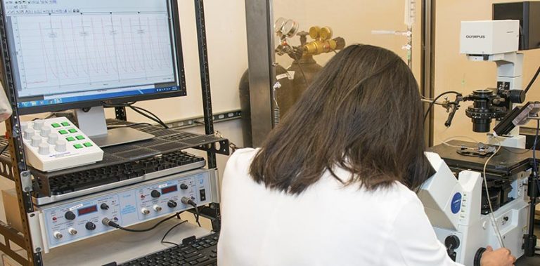 Cardiovascular Research | The Texas Heart Institute®