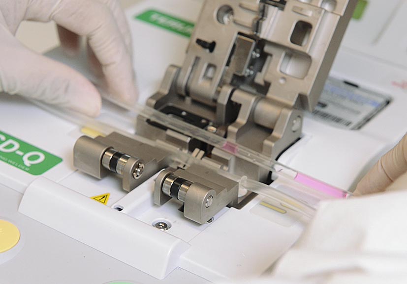 Our Department | Molecular Cardiology Research | The Texas Heart Institute®