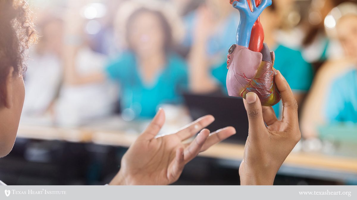 The Cardiovascular System | The Texas Heart Institute®