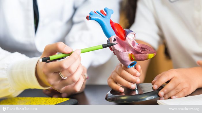 Can the Lariat procedure aggravate atrial fibrillation? | The Texas ...