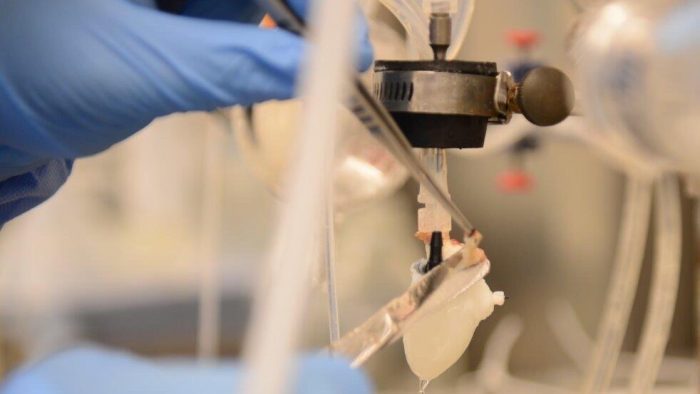 Texas Heart Institute Is A Leader In Cardiovascular Research And Education