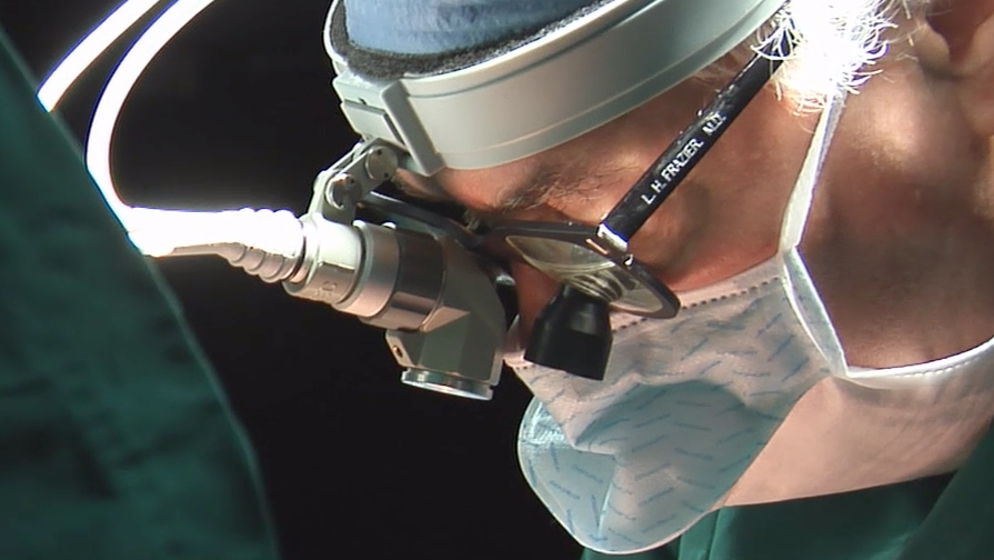 Center for Preclinical Surgical & Interventional Research | The Texas ...