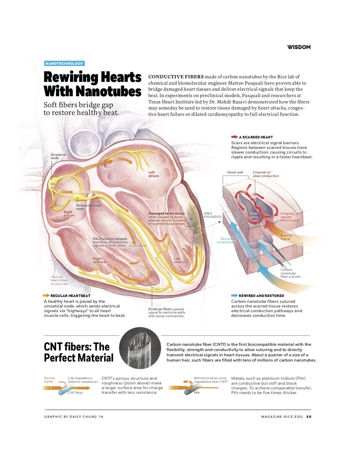 Texas Heart Institute nanotechnology to compete for best innovation in ...