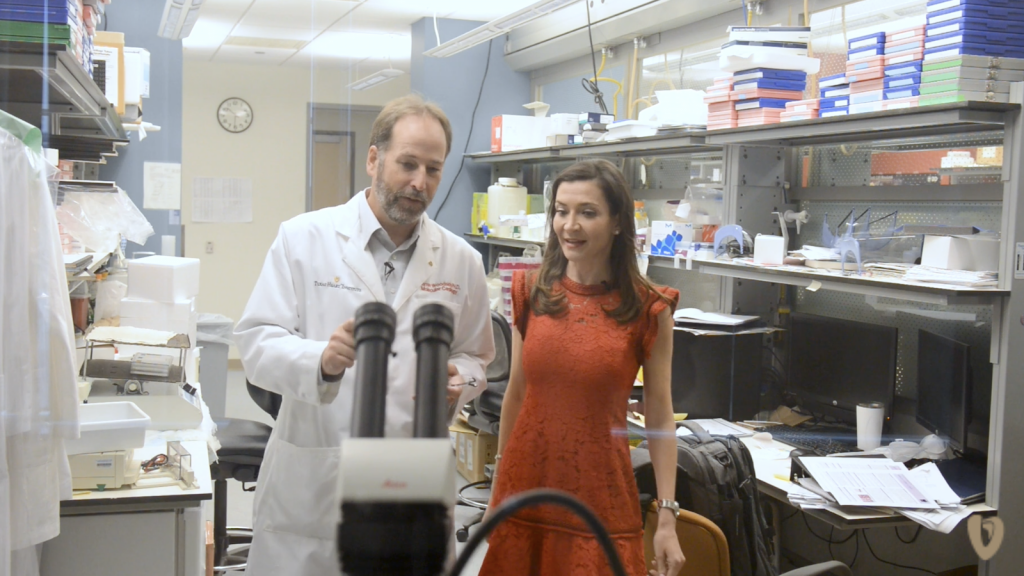The Heart Beat: Medicine Through the Lens of a Microscope | The Texas ...