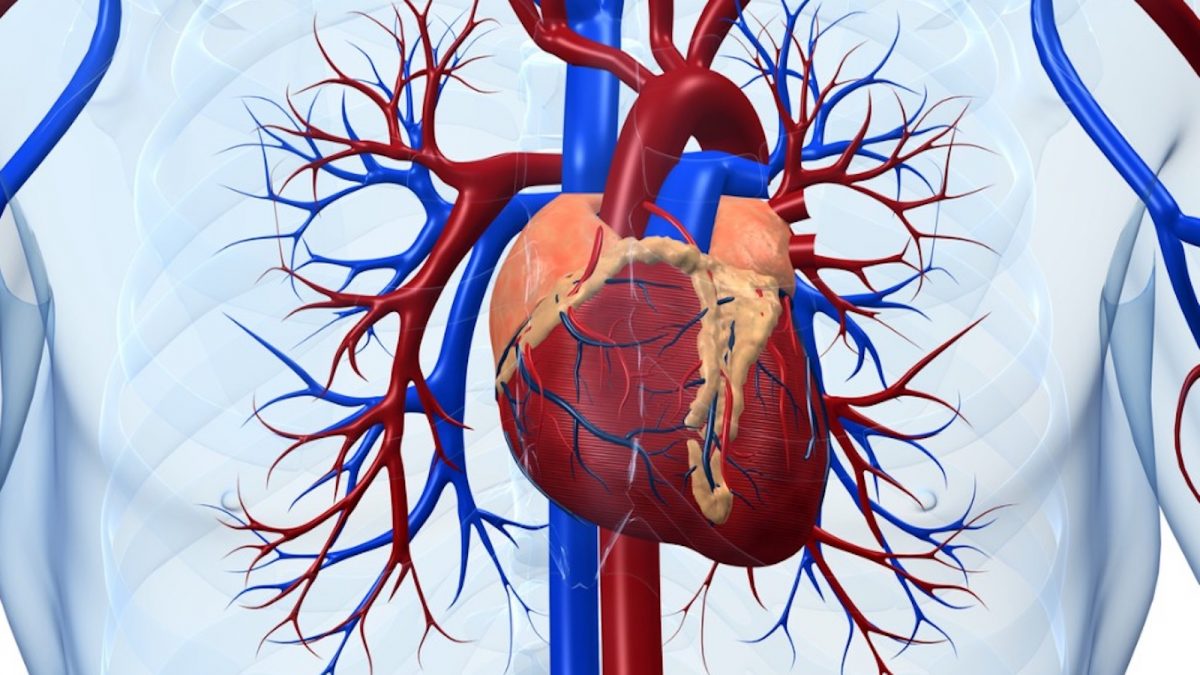 Joseph S. Coselli, MD | The Texas Heart Institute®