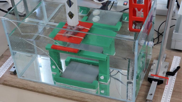 Do “Insurance Lesions” Make Radiofrequency Ablation More Effective ...