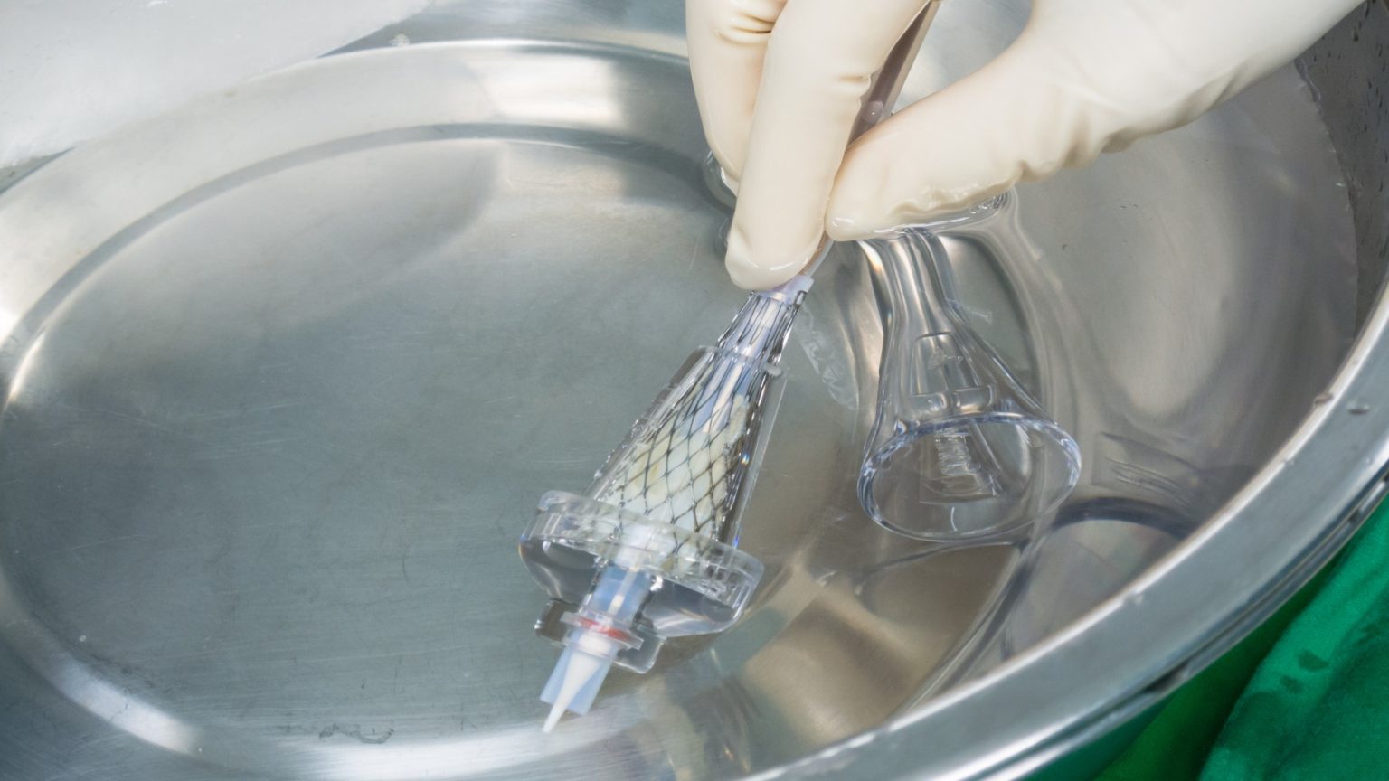 Mechanical or Bioprosthetic: Mitral Valve Choice is a Critical Decision ...