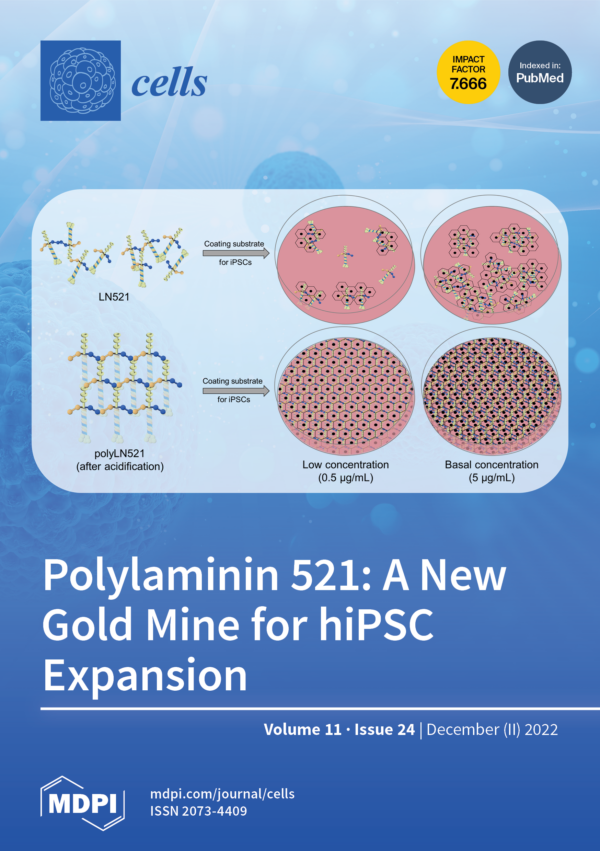 Polylaminin 521: A New Gold Mine for the Expansion of Stem Cells for ...