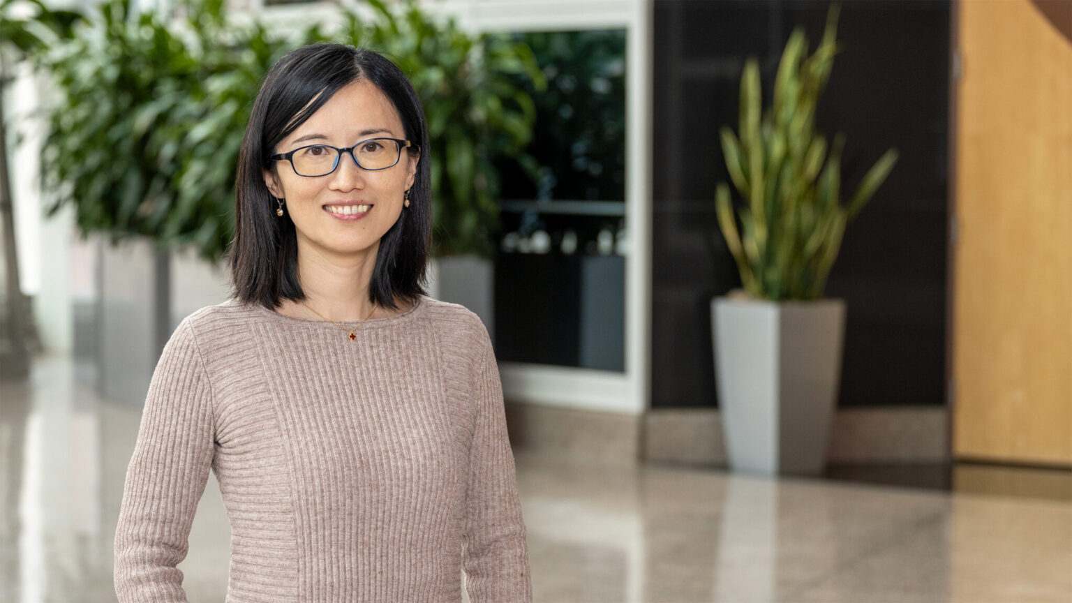 Jun Wang Archives | The Texas Heart Institute®