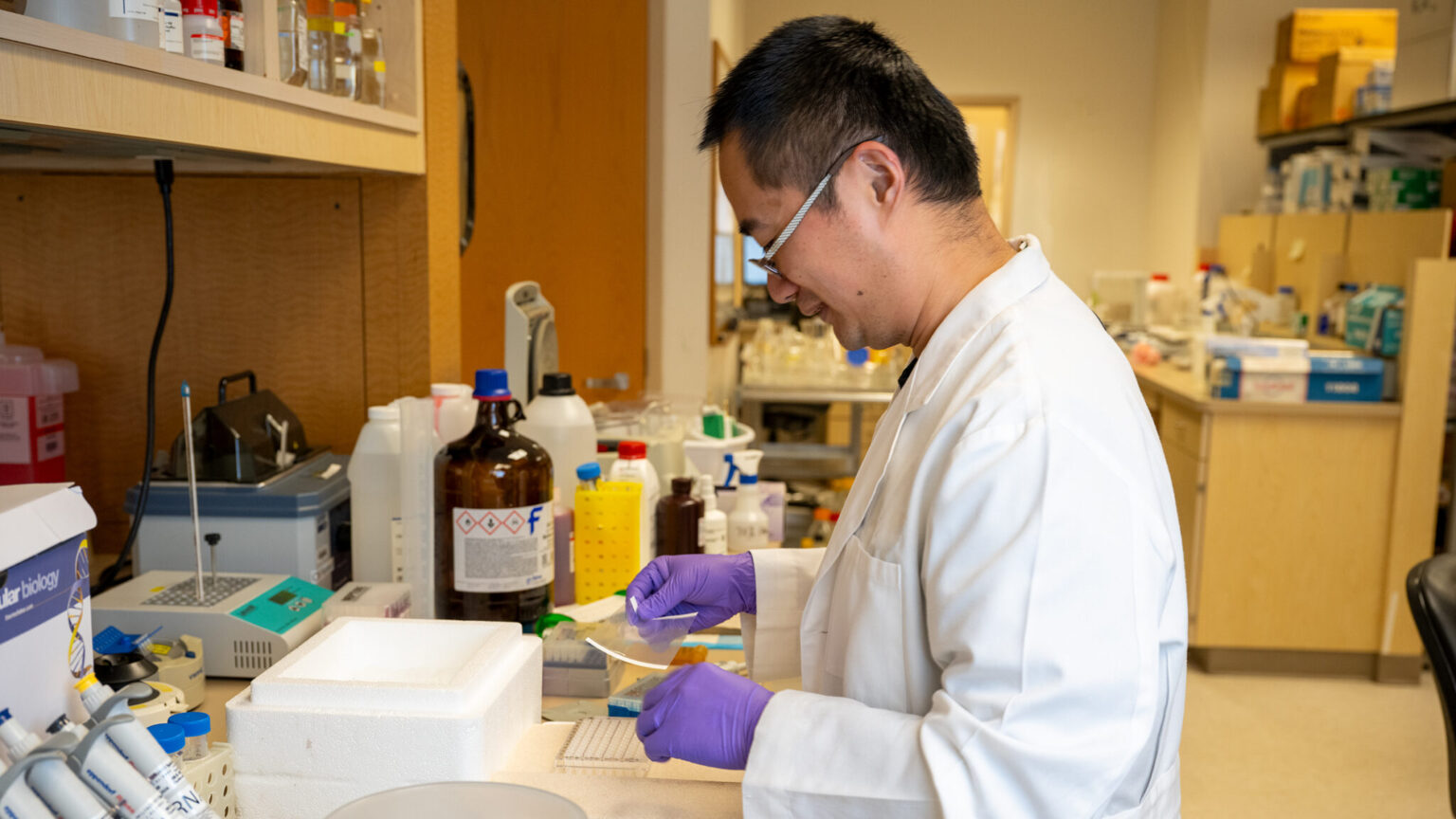 James F. Martin, MD, PhD | The Texas Heart Institute®