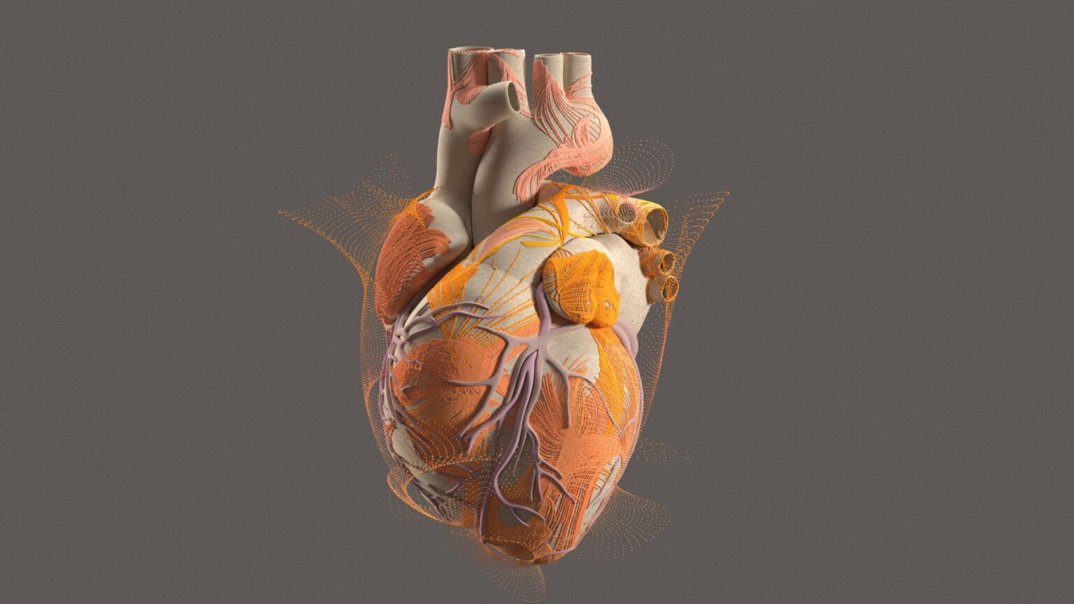 Mehdi Razavi, MD | The Texas Heart Institute®