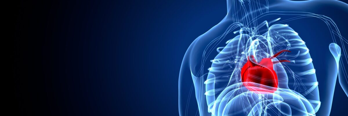 Heart Information Center | Educational Resource | The Texas Heart ...