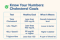 September is Cholesterol Education Month: What Do Your Numbers Means ...